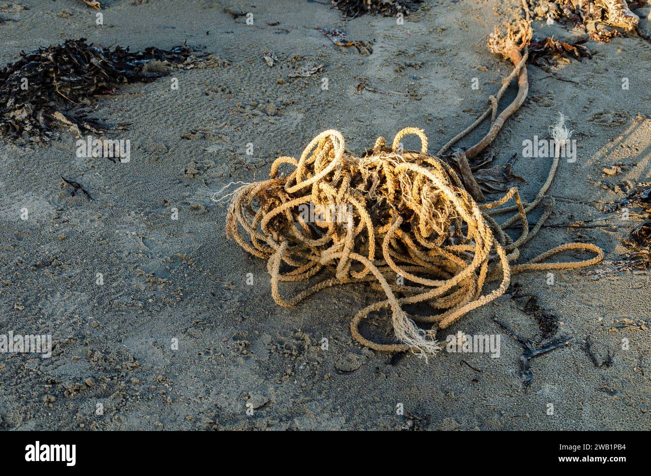 Old rope washed up contaminating Ballywalter beach Stock Photo - Alamy