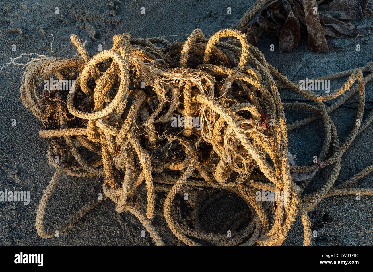 Old rope washed up contaminating Ballywalter beach Stock Photo - Alamy