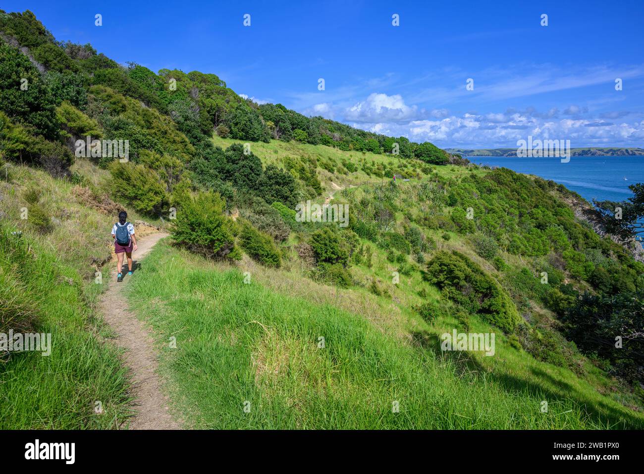 People hiking the Waiheke Island Matiatia to the Vineyards via the ...