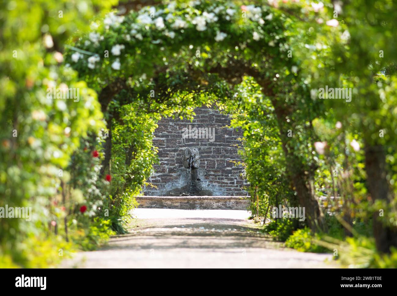 Gargoyle bear at the end of a pleasure walk, Sofiero Palace & Gardens ...