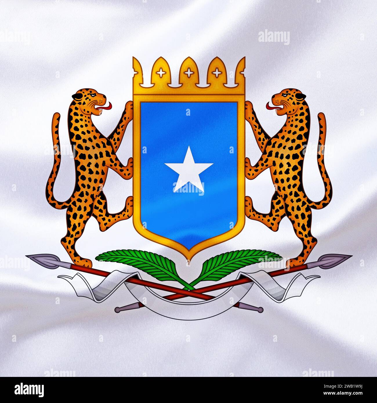 Somalia Logo