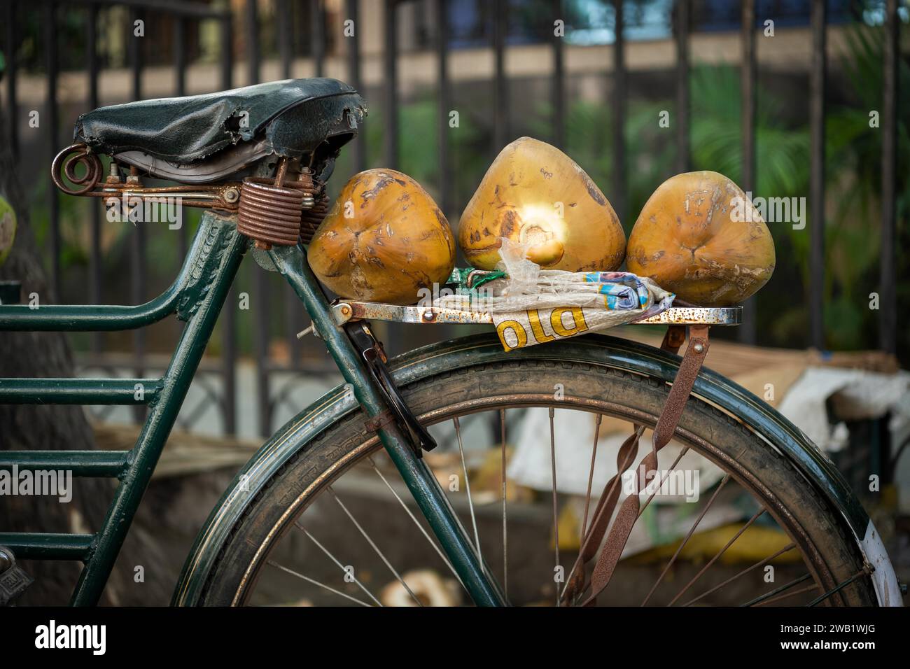 Three coconuts lying on a bicycle, Chennai, Tamil Nadu, India Stock ...