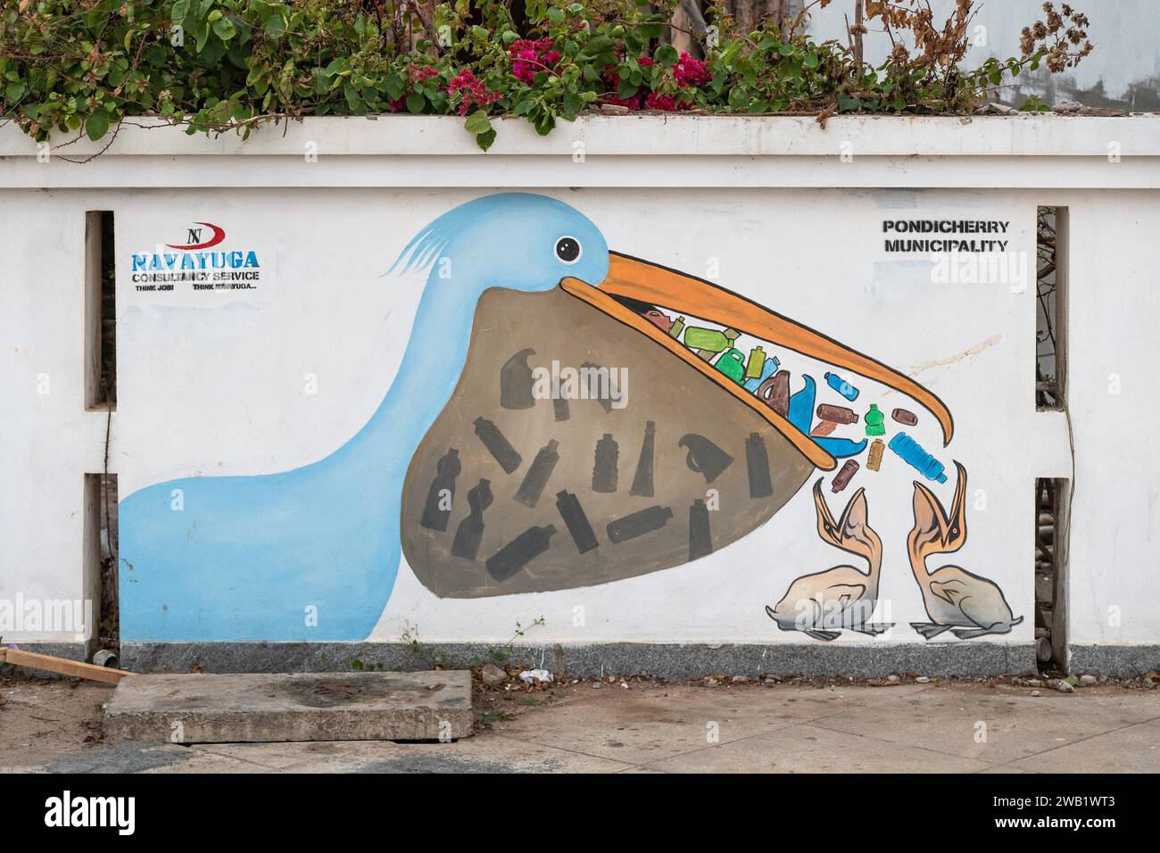 Pelican with plastic bottles in its beak, graffiti, Pondicherry or ...
