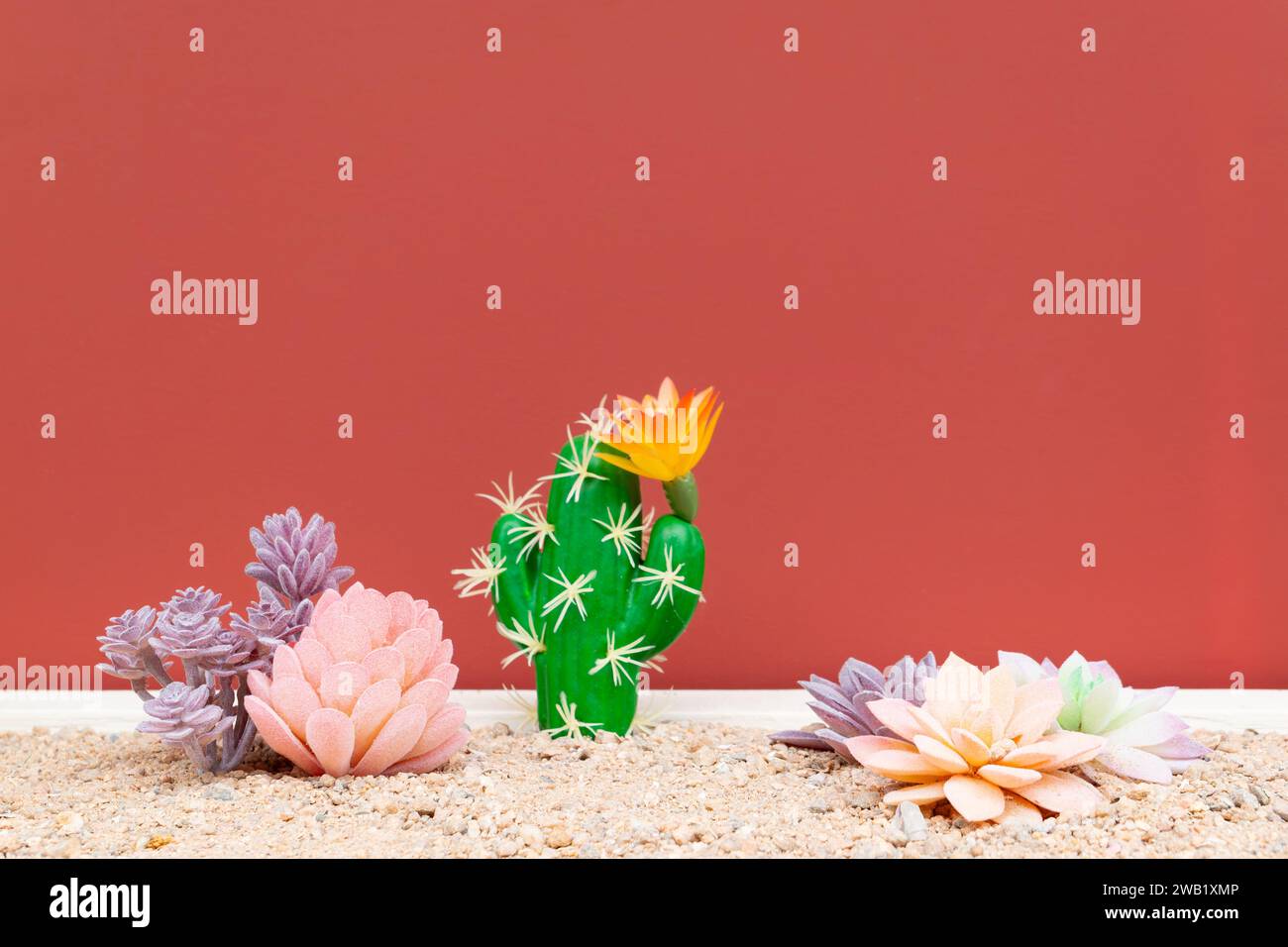 artificial succulent plant and cactus at horizontal composition Stock ...