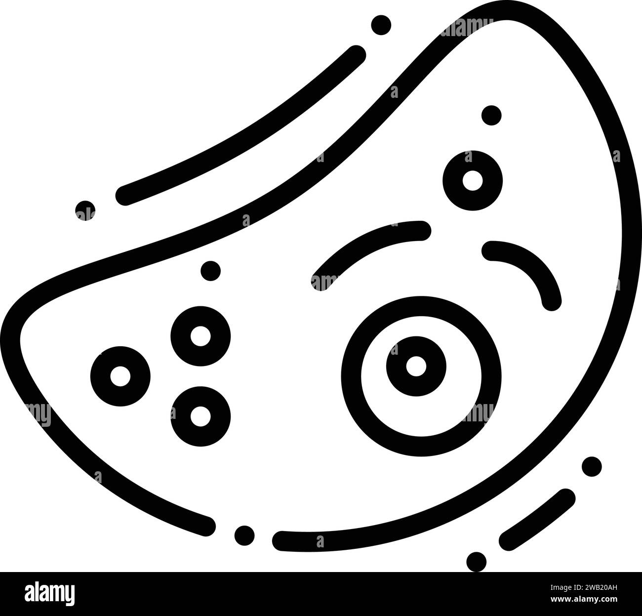 Unicellular vector vectors Black and White Stock Photos & Images - Alamy