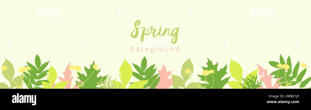 Spring background horizontal with bright young spring leaves. Vector ...