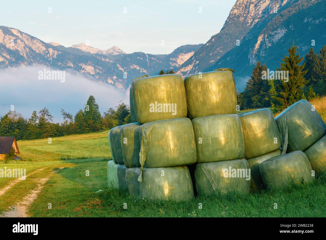 Wrapped bale hi-res stock photography and images - Alamy