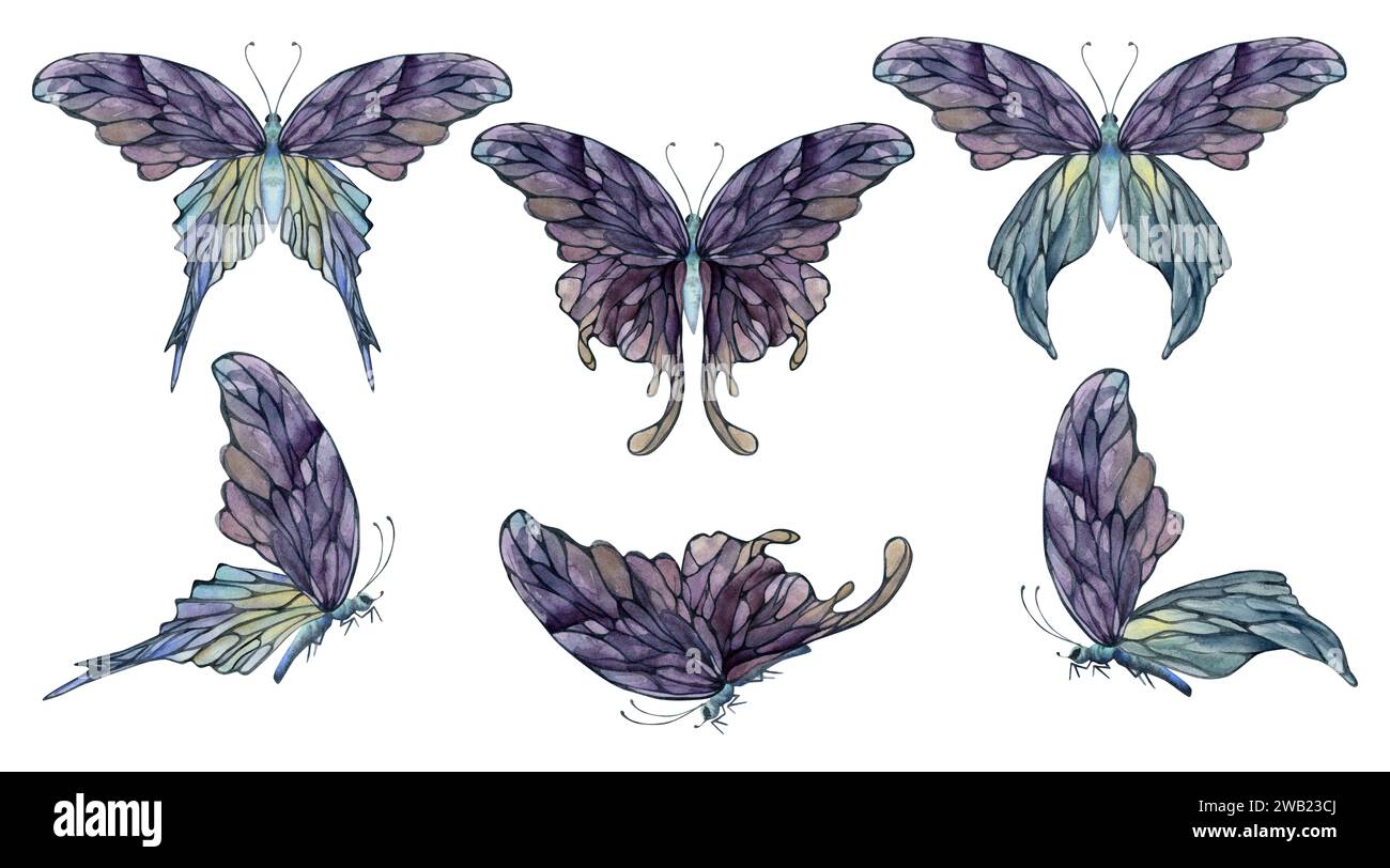 Hand drawn watercolor illustration butterfly fairy wings gem crystal ...