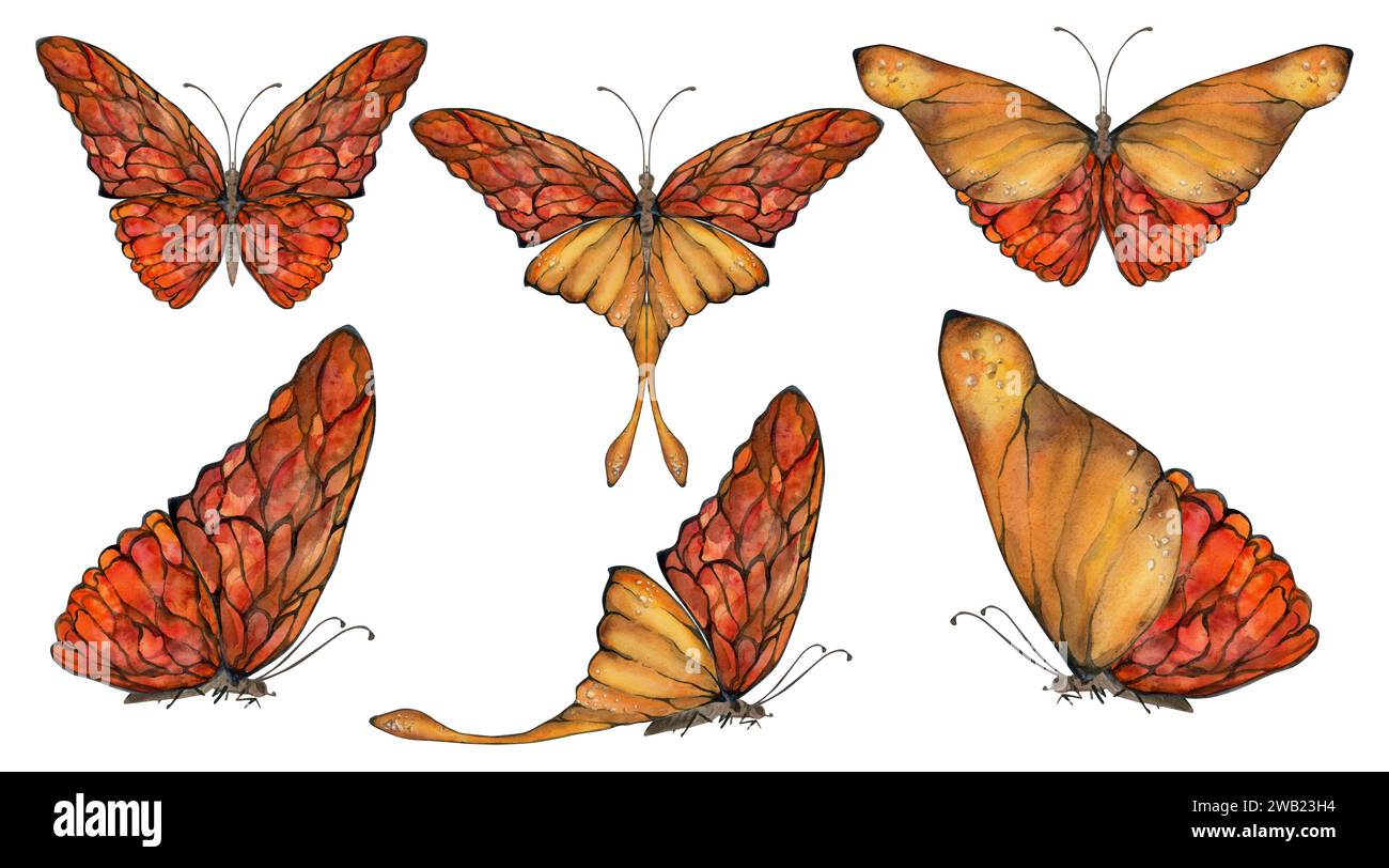 Hand drawn watercolor illustration butterfly fairy wings gem crystal ...