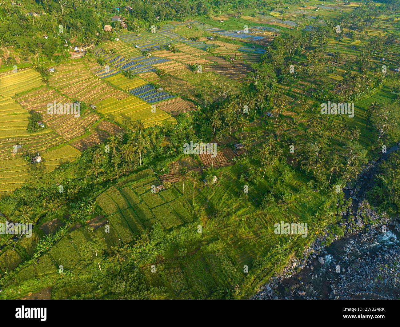 Aerial view of rice fields in Sidemen region of Bali, Indonesia Stock ...