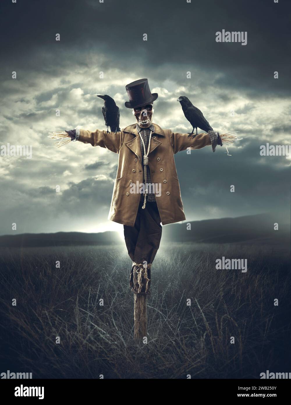 Evil scarecrow with skull head and crows, Halloween and horror concept ...