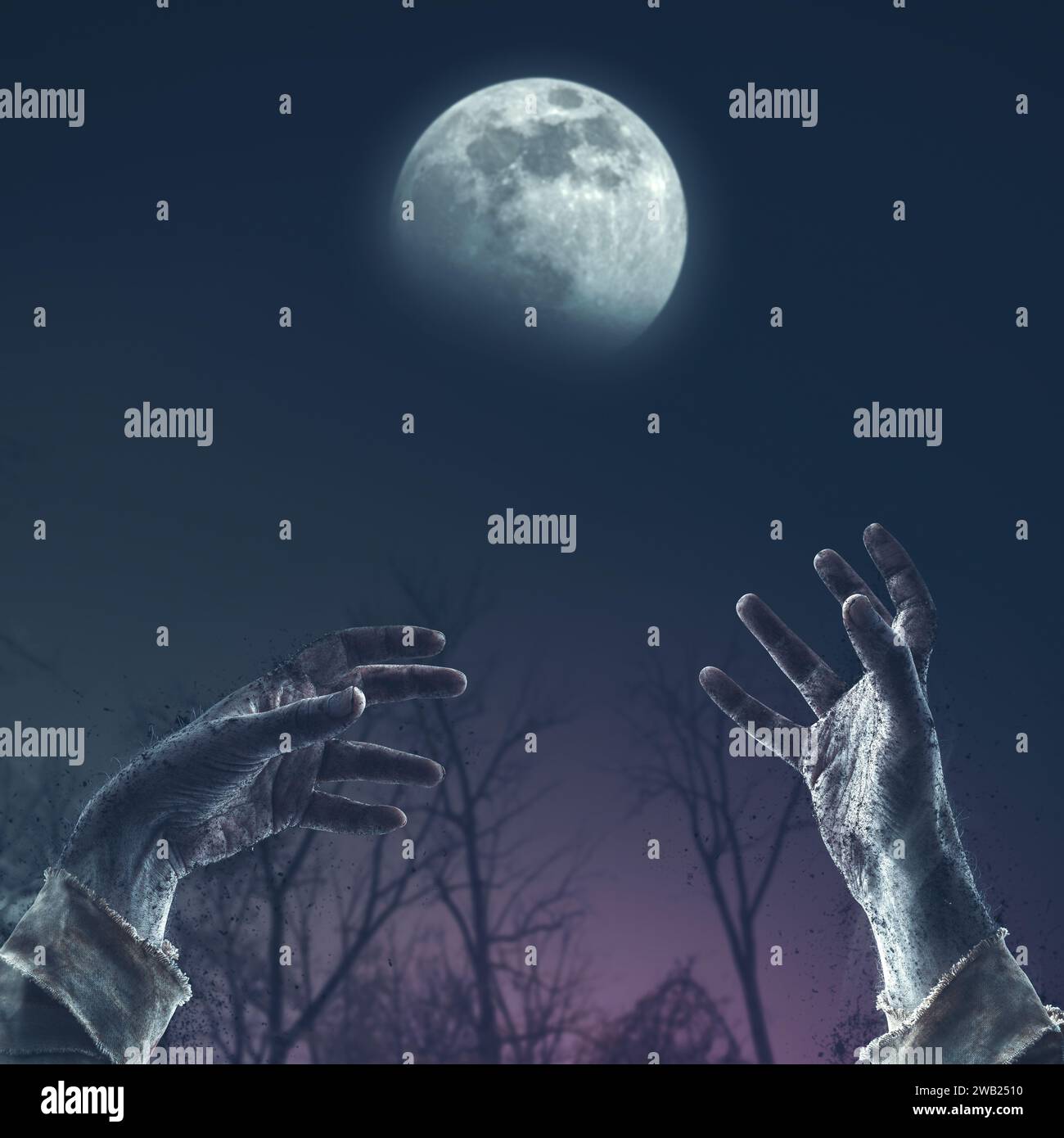 Creepy dirty zombie hands rising in the night and full moon Stock Photo ...