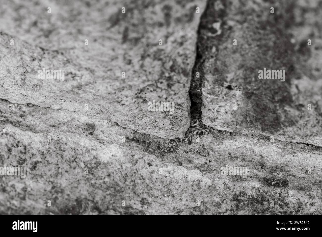 Grayscale shapes hi-res stock photography and images - Alamy