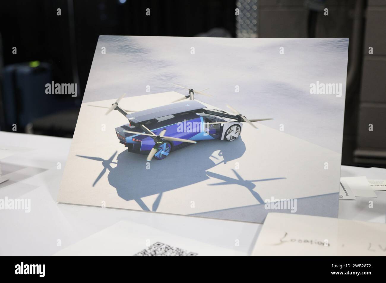 Las Vegas, United States. 07th Jan, 2024. A view of literature of the ...