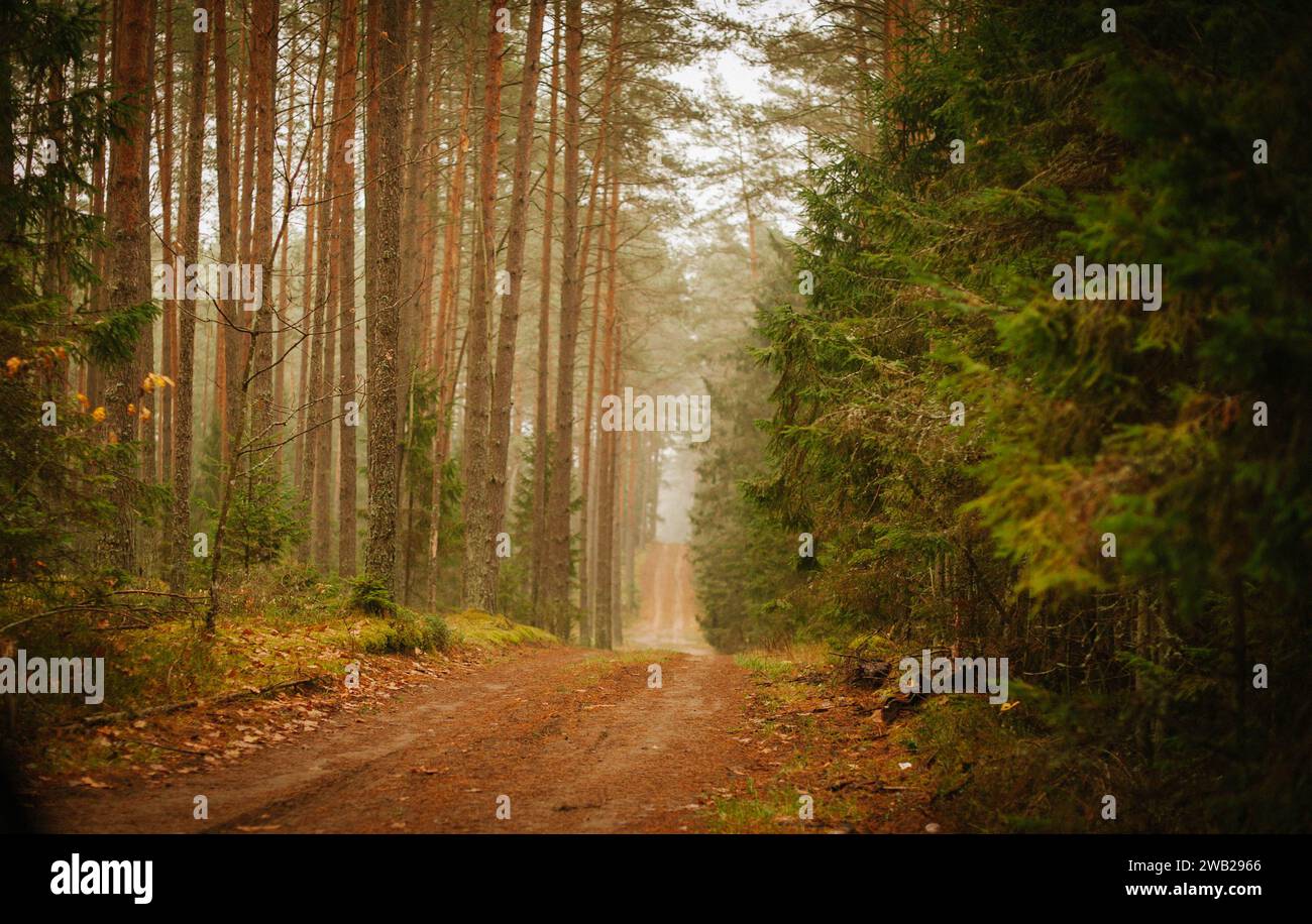 Remote pathway hi-res stock photography and images - Alamy
