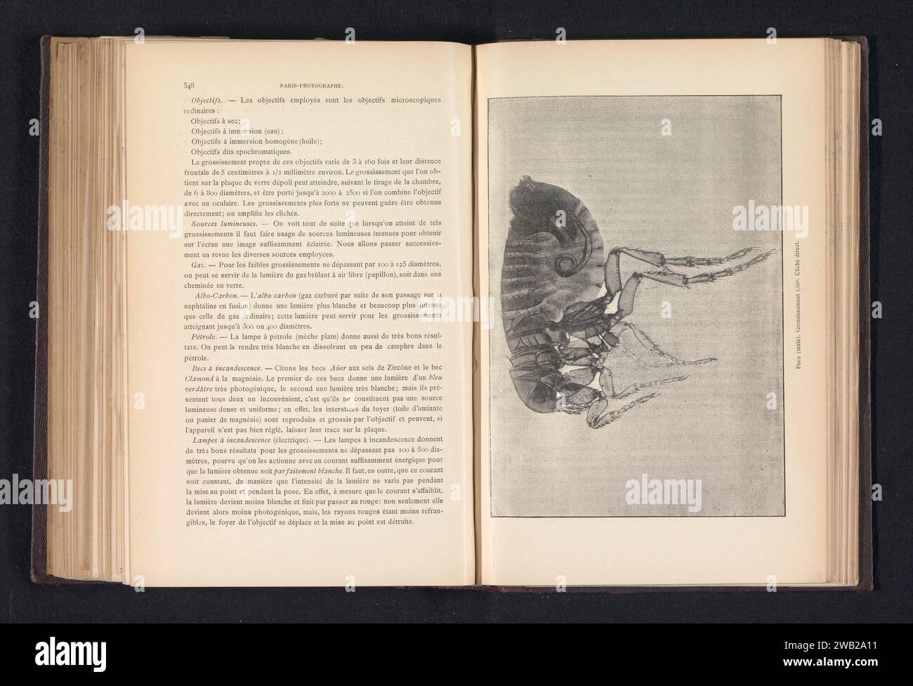 Luis, anonymous, c. 1881 - in or before 1891 photomechanical print ...