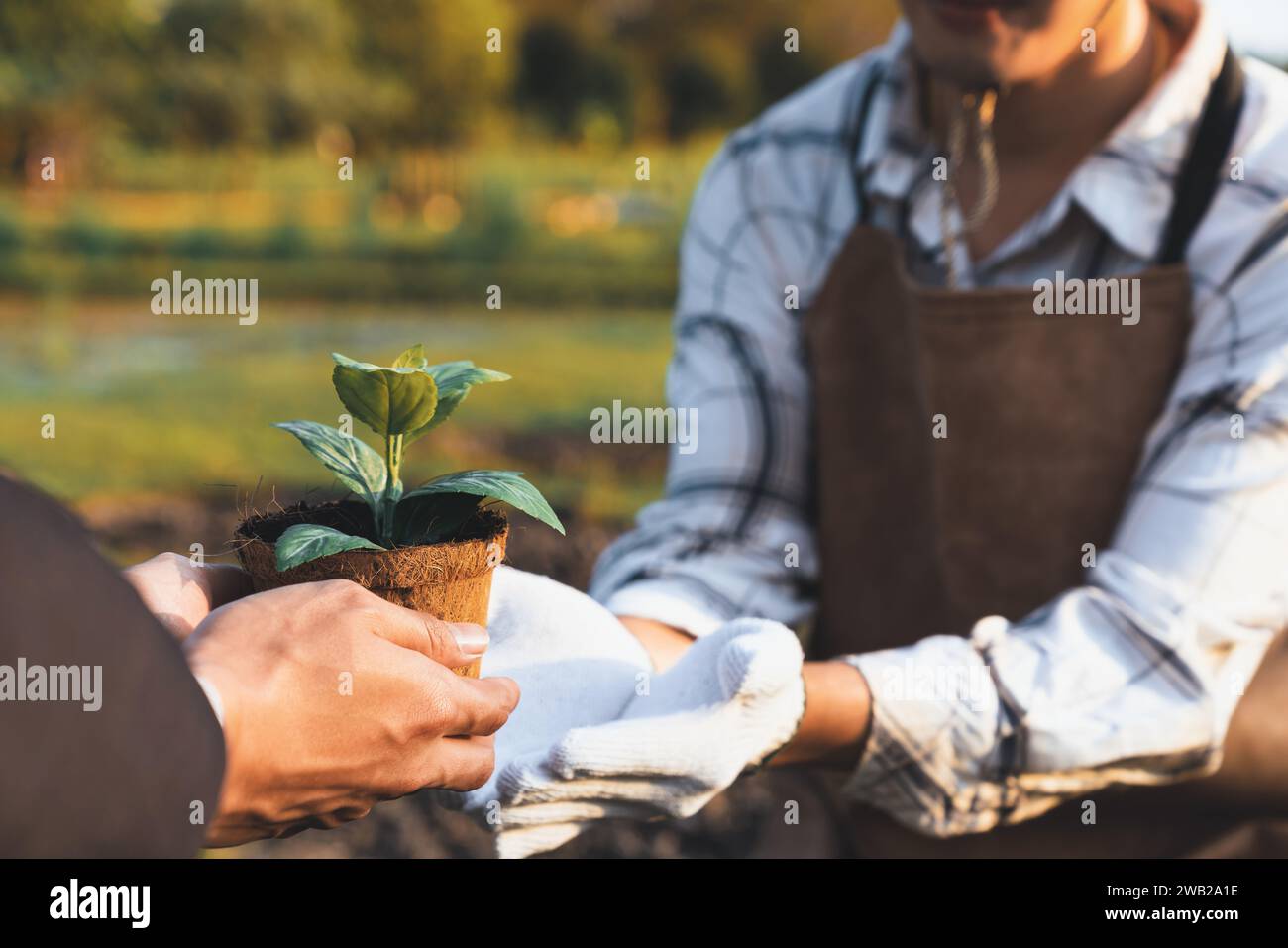 Eco-business company empower farmer with eco-friendly farming practice and clean agricultural ...