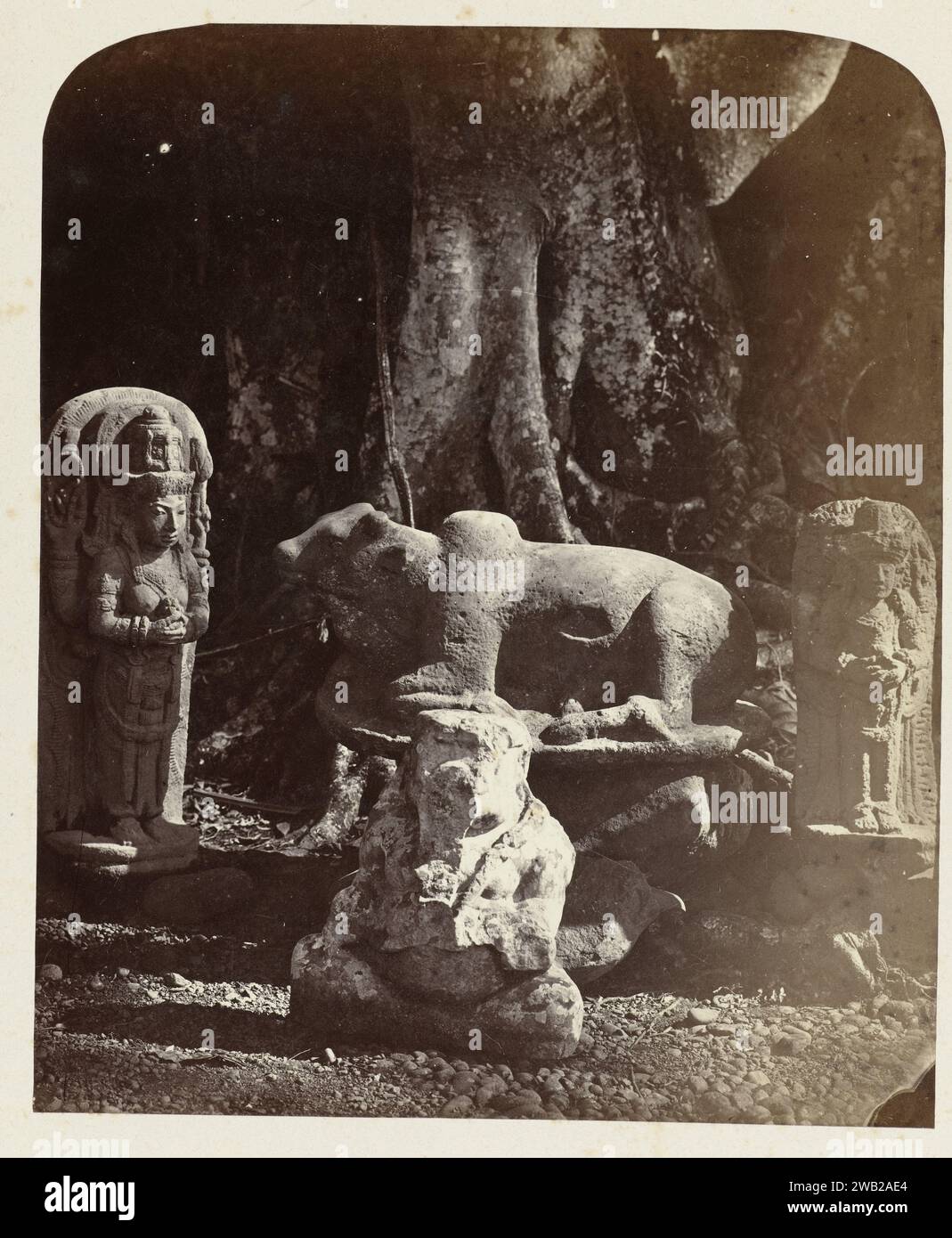 Stone scultures from east Java exhibited at the Botanical Gardens in ...
