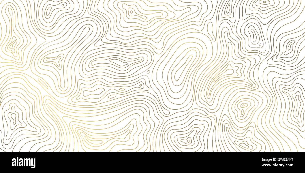 Vector line contour map texture, typography abstract pattern, golden ...