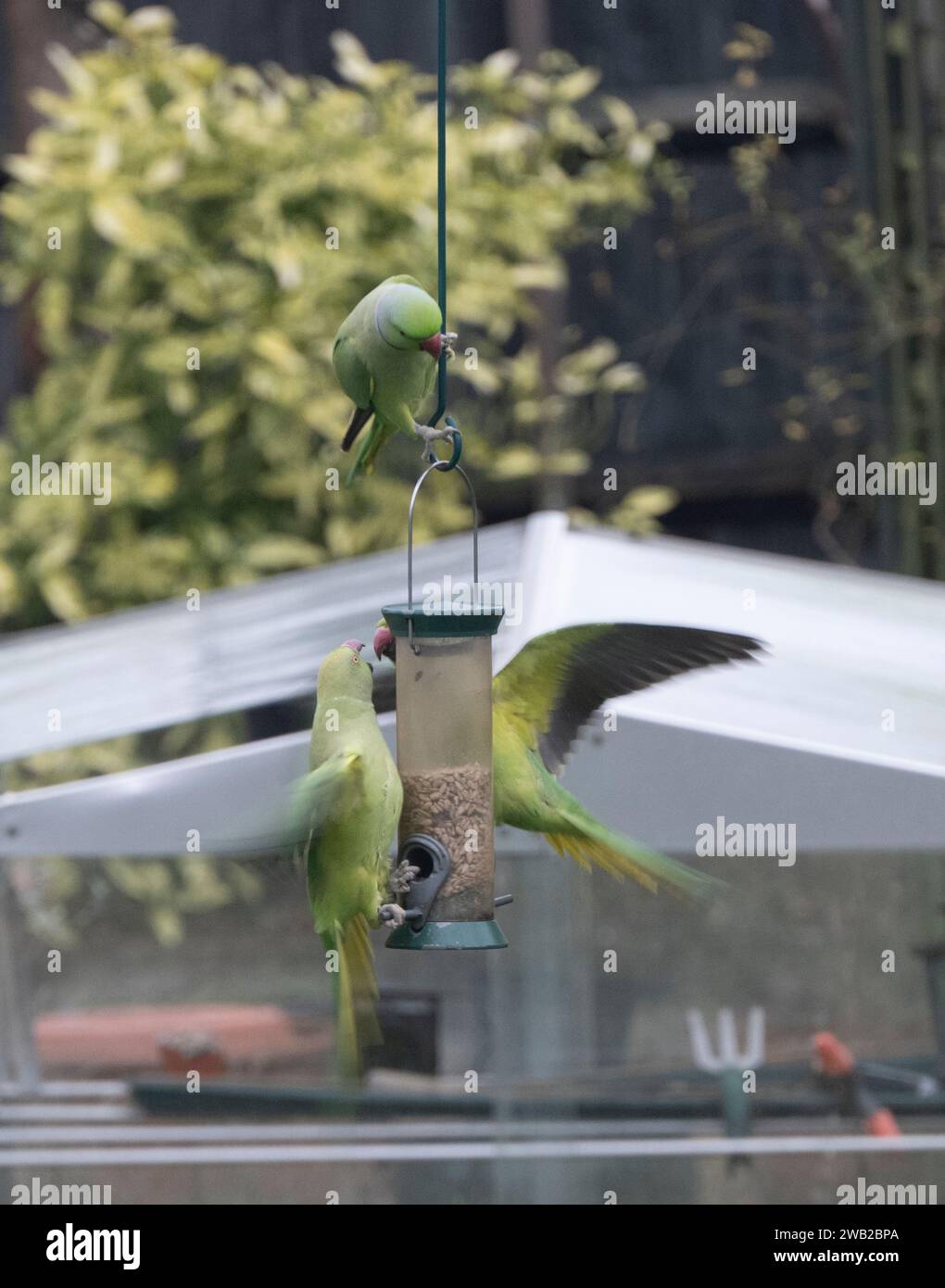 8th january 2024 hi-res stock photography and images - Alamy