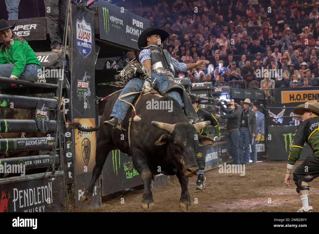 New York, New York, USA. 7th Jan, 2024. (NEW) 2024 Professional Bull ...