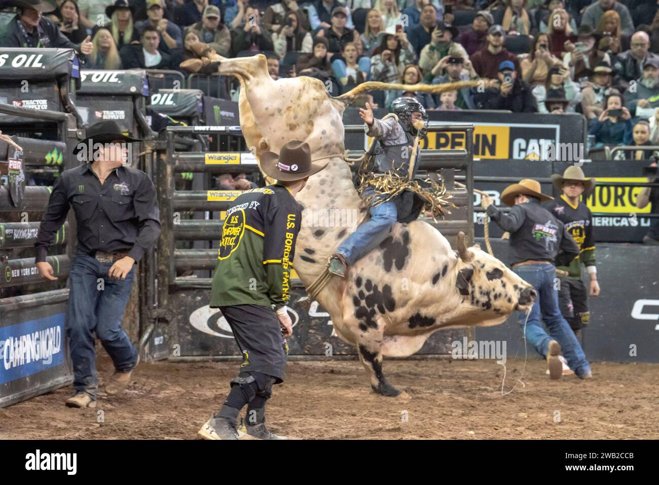 New York, New York, USA. 7th Jan, 2024. (NEW) 2024 Professional Bull ...