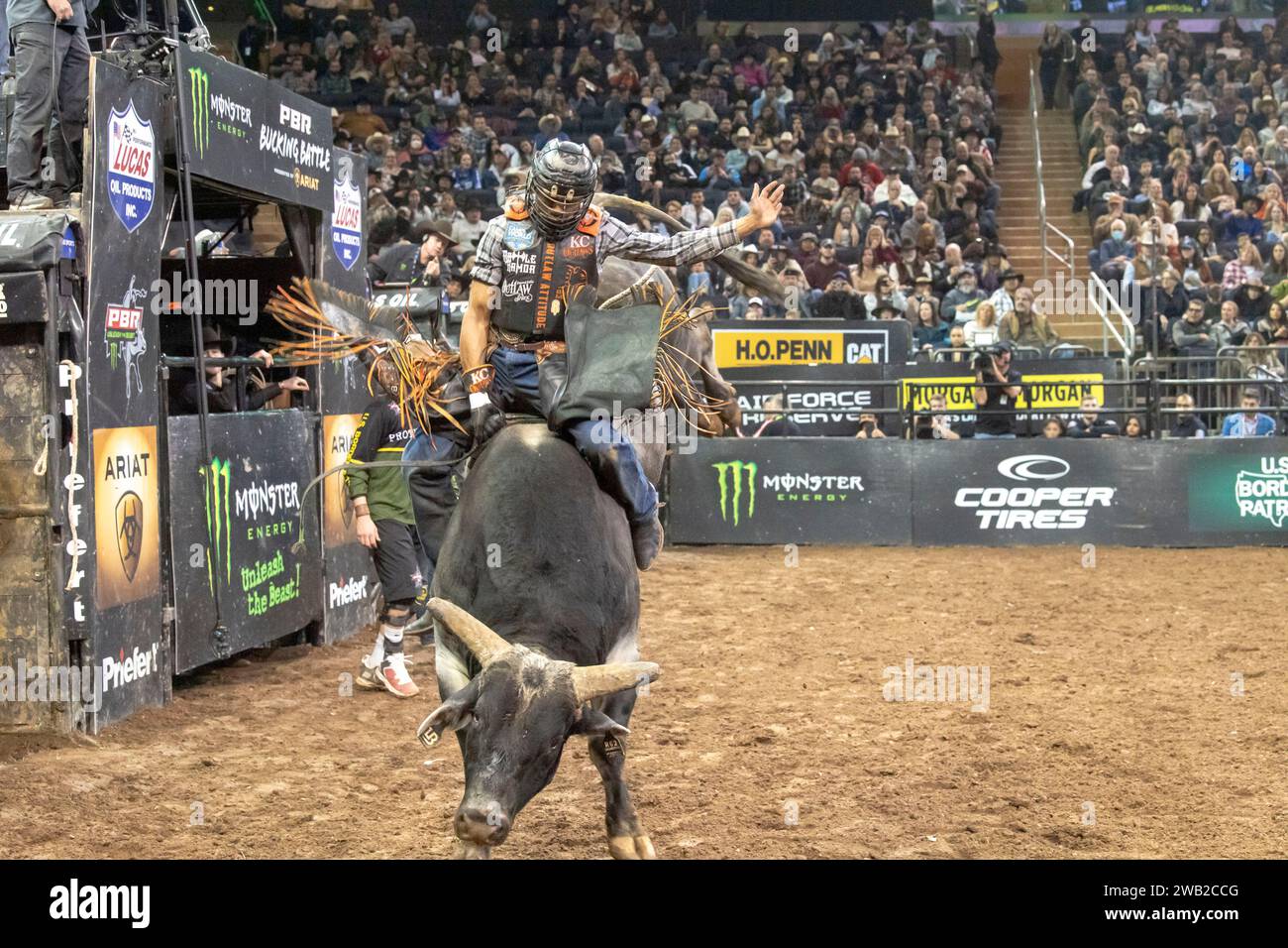 New York, New York, USA. 7th Jan, 2024. (NEW) 2024 Professional Bull ...