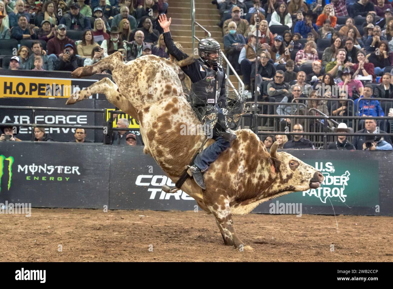 New York, New York, USA. 7th Jan, 2024. (NEW) 2024 Professional Bull ...