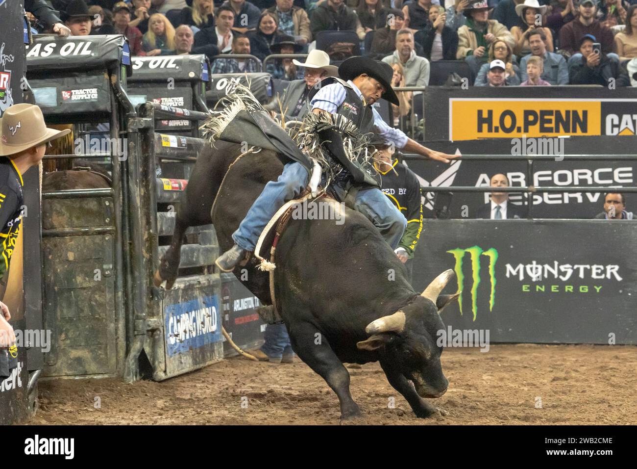 New York, New York, USA. 7th Jan, 2024. (NEW) 2024 Professional Bull ...