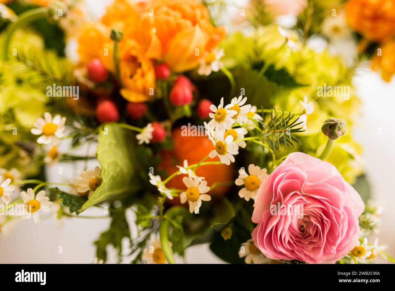 Colorful arrangement of flower blossoms Stock Photo - Alamy