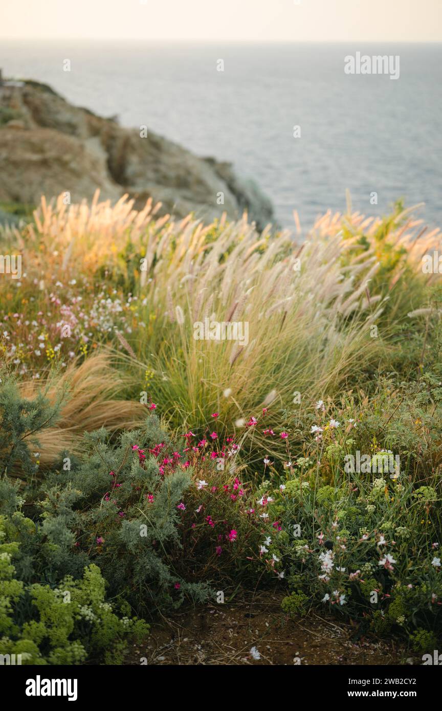 Long view flowers hi-res stock photography and images - Alamy