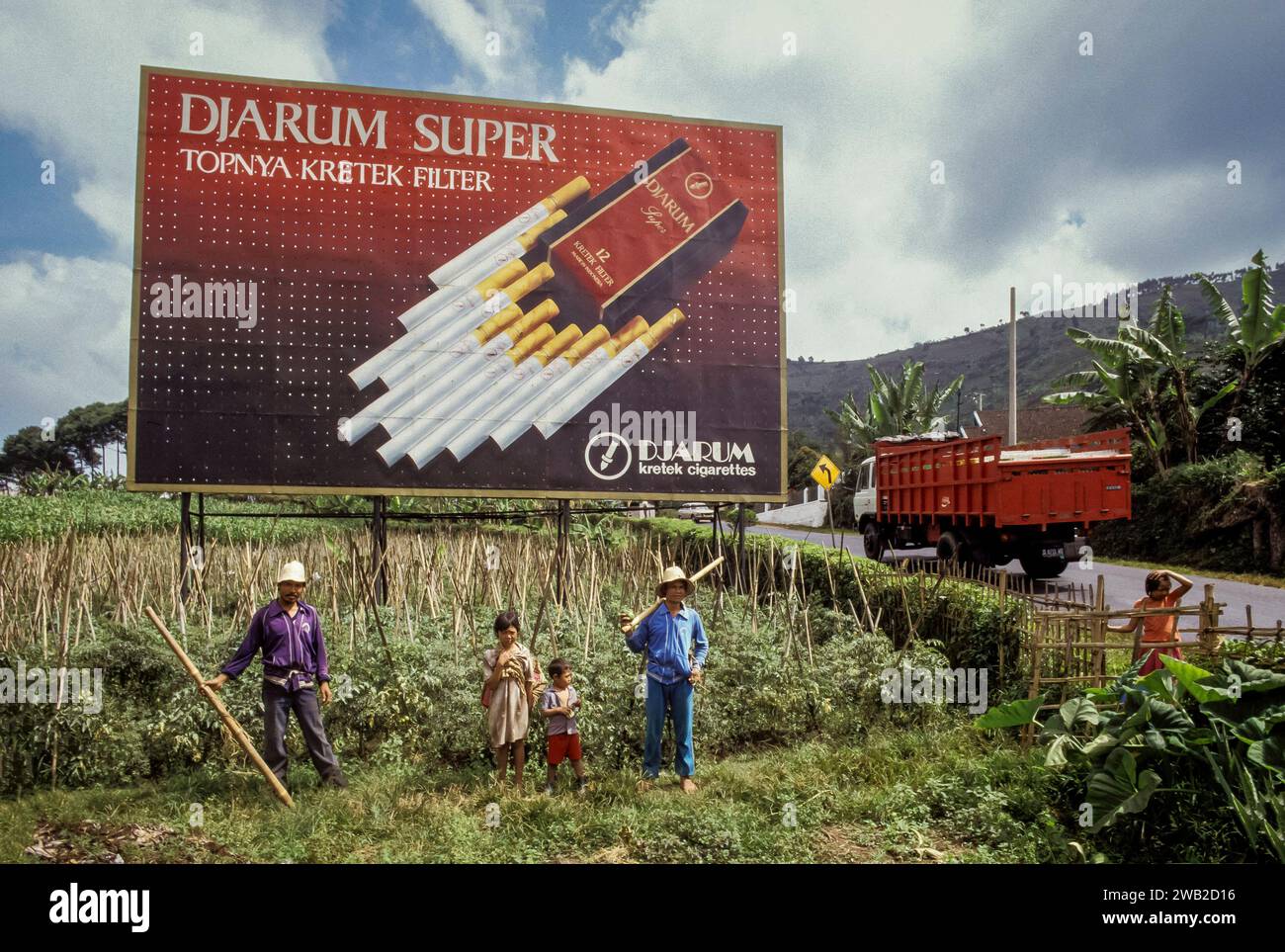 Indonesia, Cigarette advertising in a vegetable field where ...