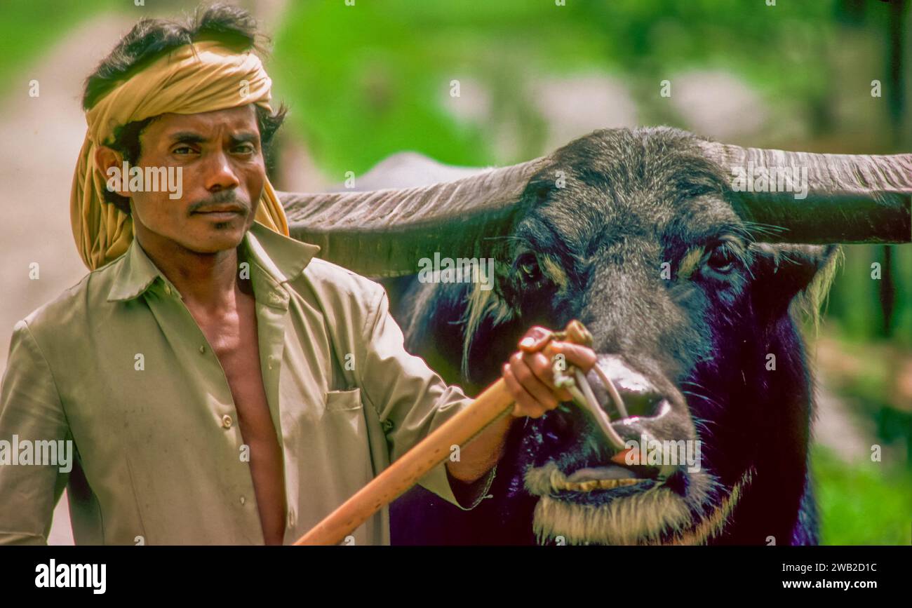 Buffalo man hi-res stock photography and images - Alamy