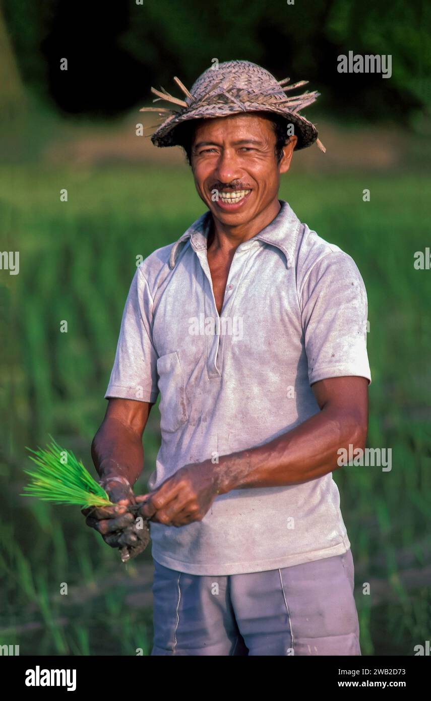 Rice fields people portraits asia hi-res stock photography and images ...