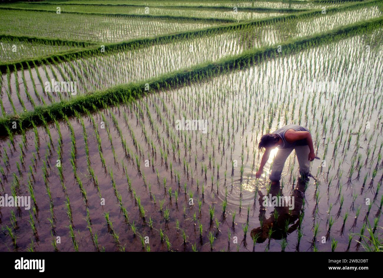 Baduraden hi-res stock photography and images - Alamy