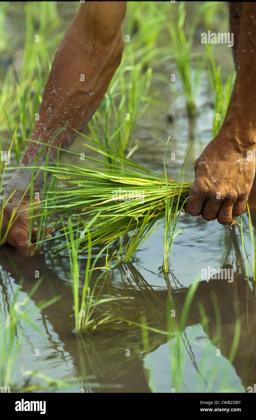 Baduraden hi-res stock photography and images - Alamy