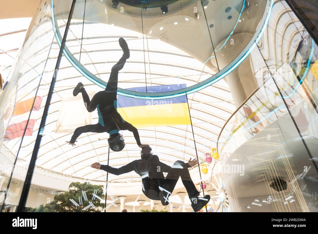 Vertical. Man controls the body in the air. Skydiving for active people ...