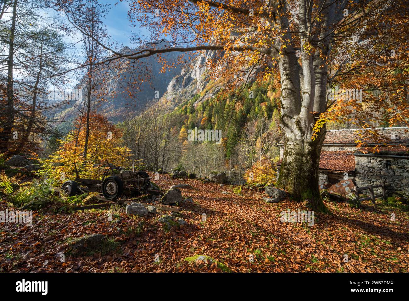 Foliage dolomiti hi-res stock photography and images - Alamy