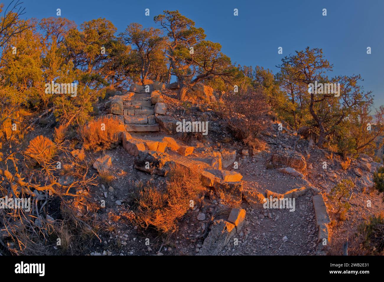 Hermit rim hi-res stock photography and images - Alamy