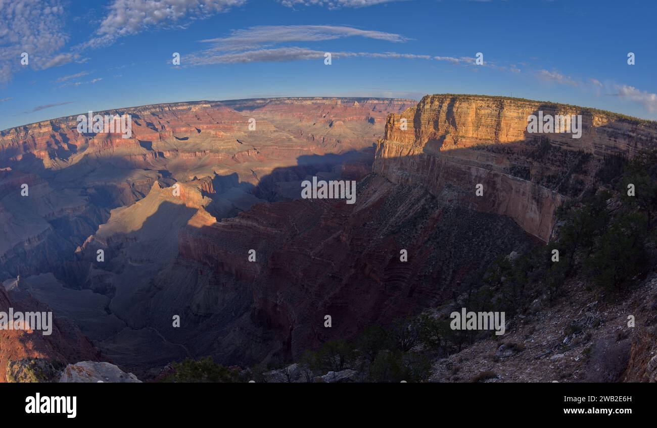 Grand canyon trees hopi point hi-res stock photography and images - Alamy