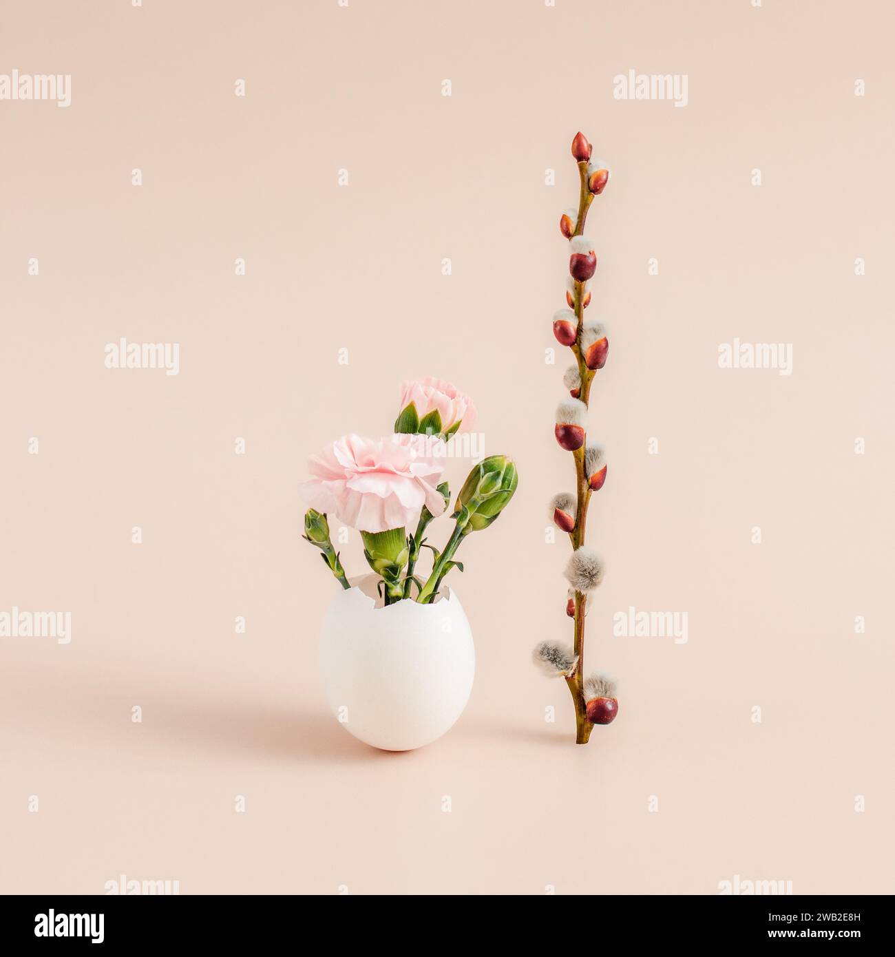 Ordinary carnation hi-res stock photography and images - Alamy