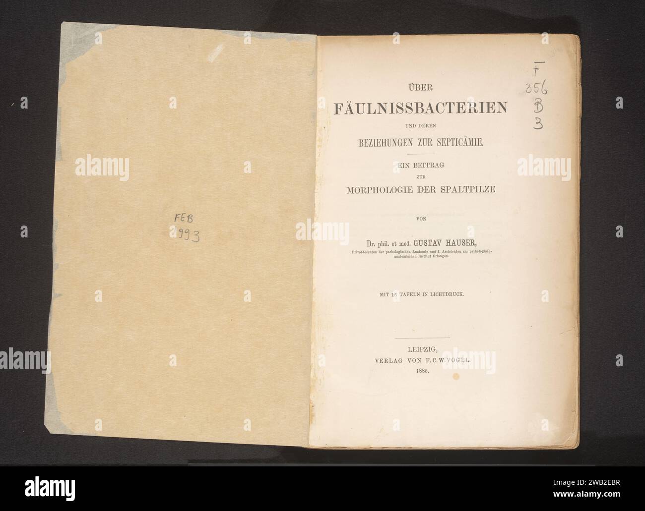 About putrefaction bacteria and their relationships with septicemia a ...