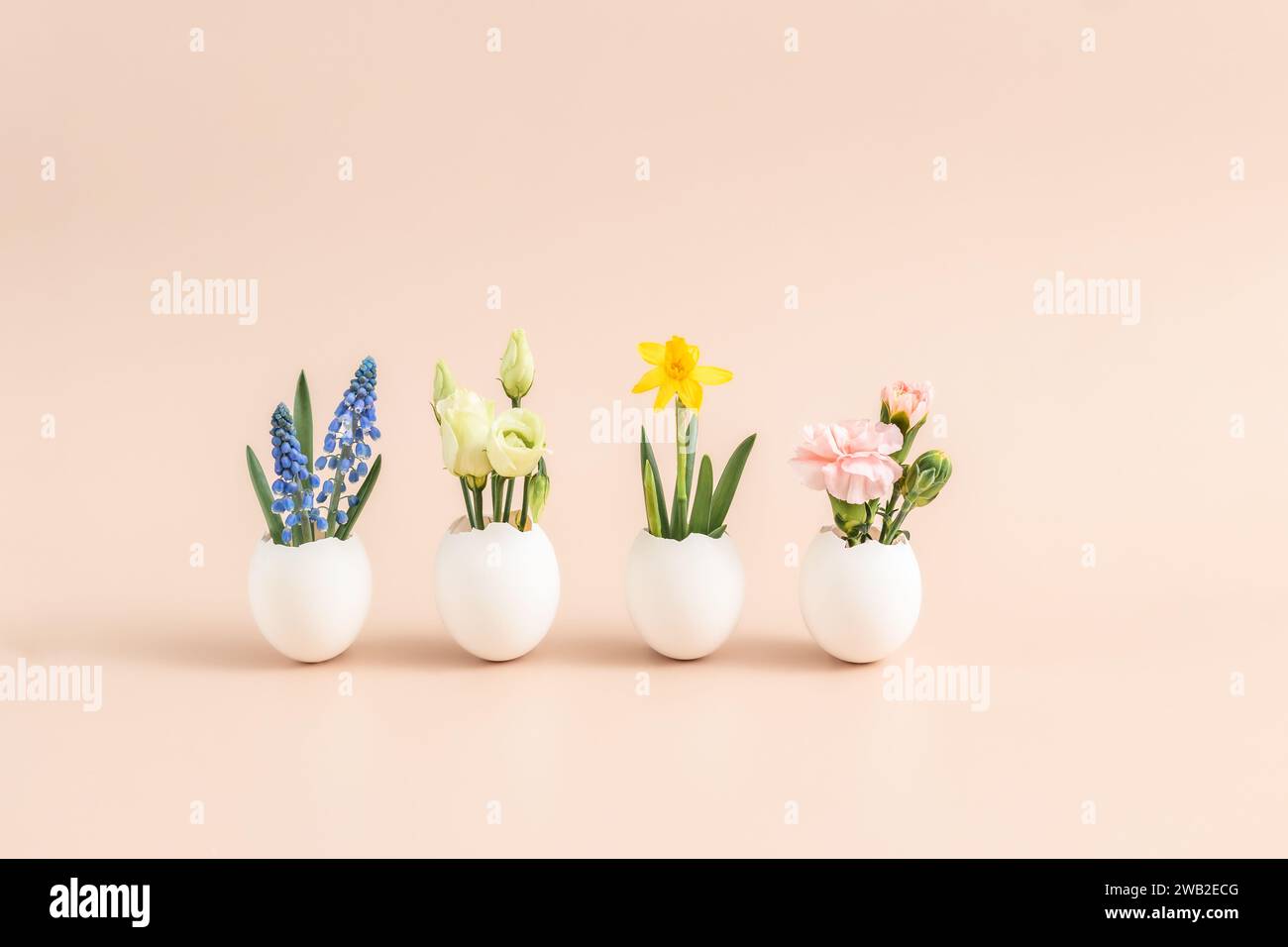 Spring flowers in egg shell pots Stock Photo - Alamy