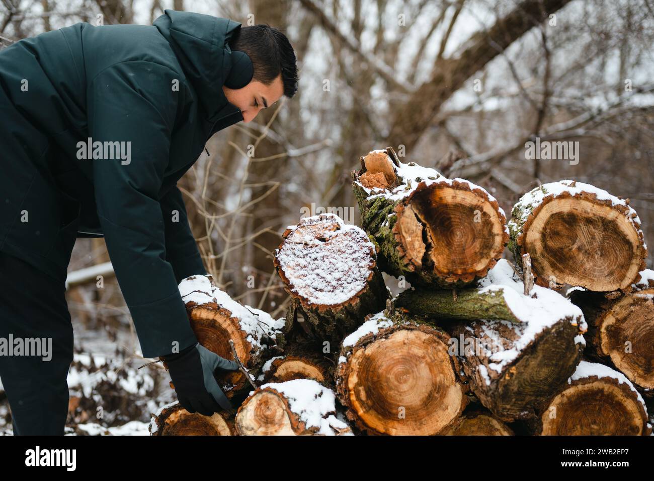 Seasonal firewood hi-res stock photography and images - Alamy