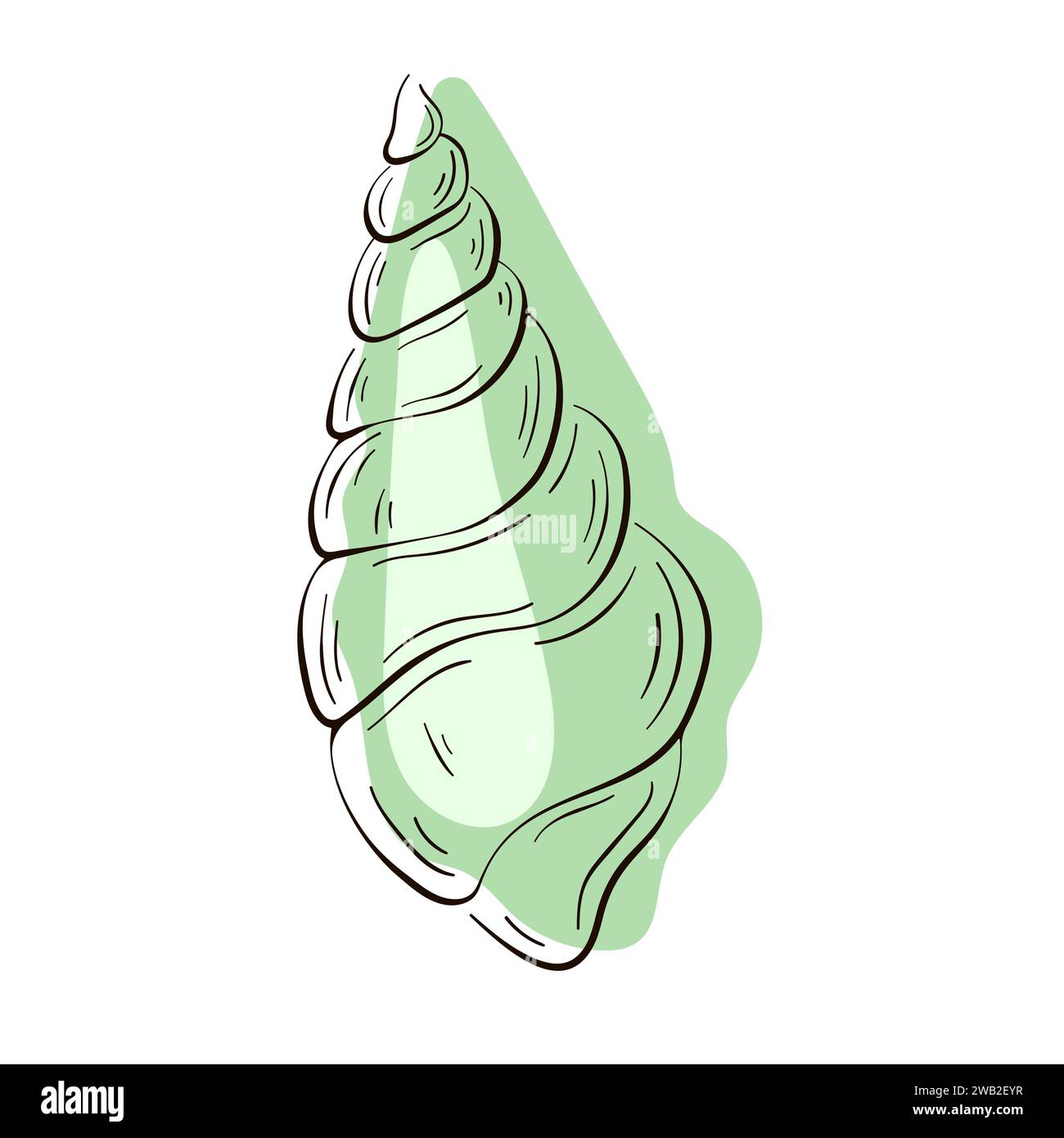 Undersea shell in line art style. Tropical summer seashell underwater ...