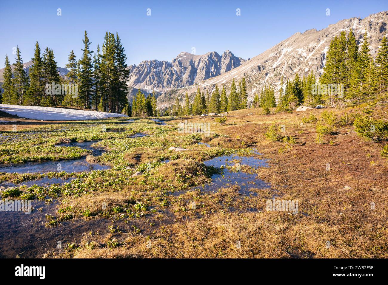 Landscape in the Indian Peaks Wilderness, Colorado Stock Photo - Alamy