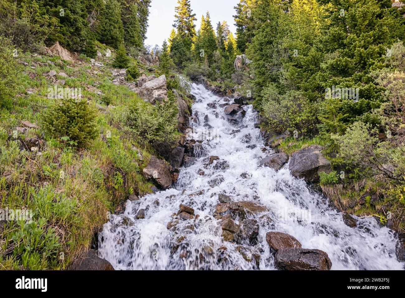 Waterfall in the Indian Peaks Wilderness, Colorado Stock Photo - Alamy