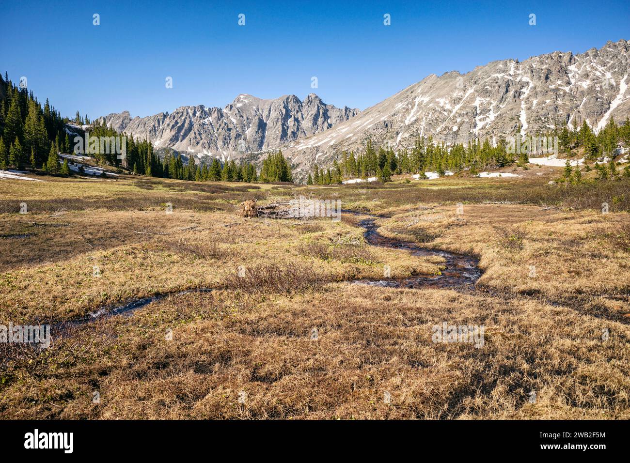 Wetland scenery in the Indian Peaks Wilderness, Colorado Stock Photo ...