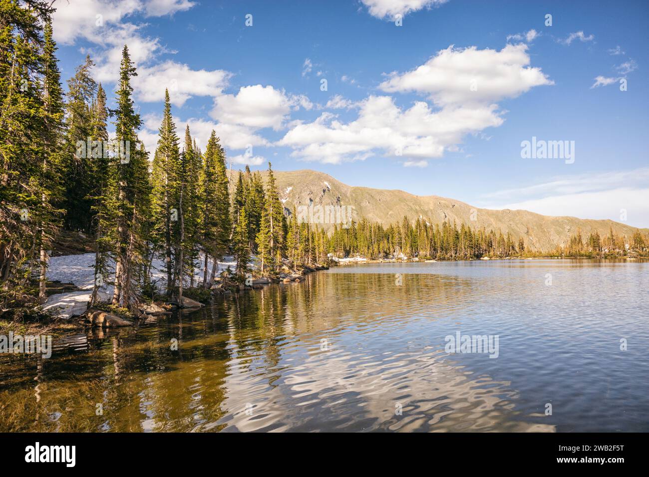 Pristine shore conservation hi-res stock photography and images - Alamy
