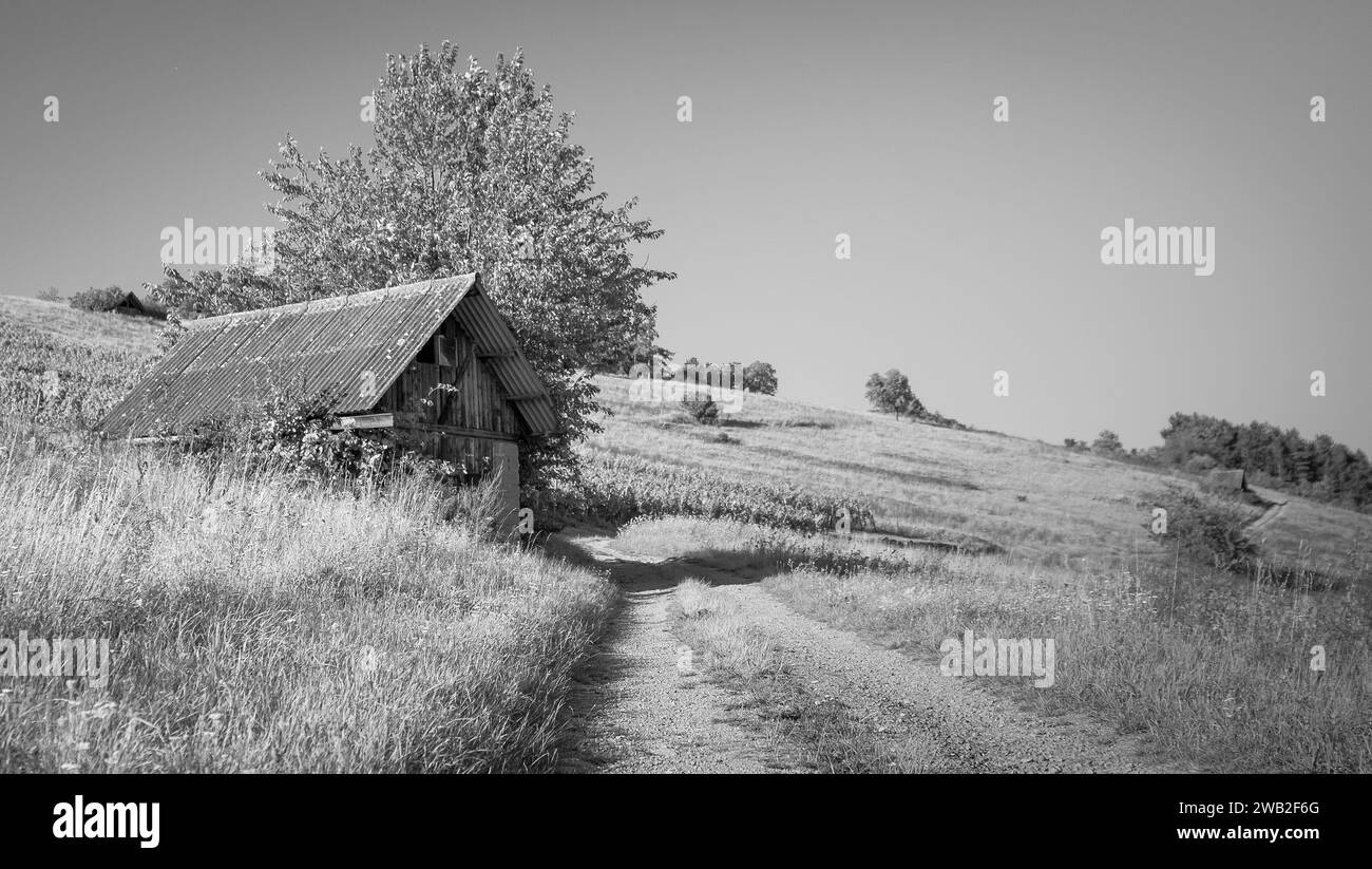 A black and white photograph of a small, wooden shack situated near a ...